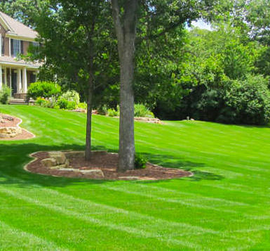 How should you mow your lawn? - RRLAND CONSTRUCTION